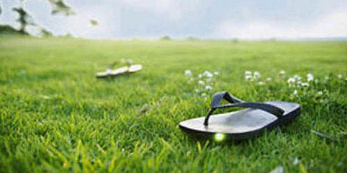 1778 - ĐÔI DÉP » Thiều Gia Thi Văn Tuyển Tập Lục